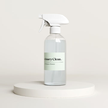 No Ordinary Clean Co.