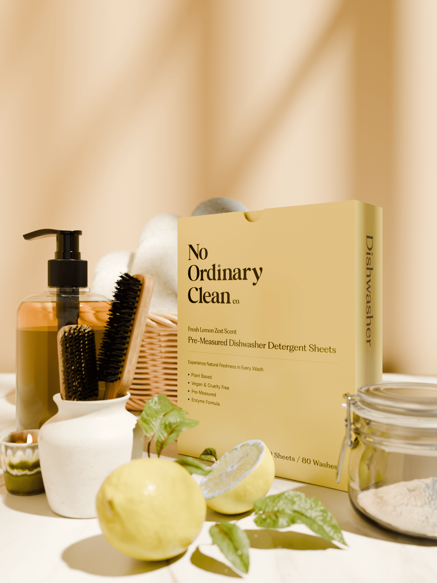 No Ordinary Clean Co.